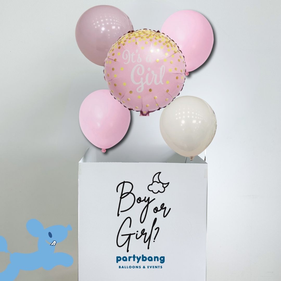 [Helium Inflated] Gender Reveal Surprise Box It's a Girl/ Boy – Partybang